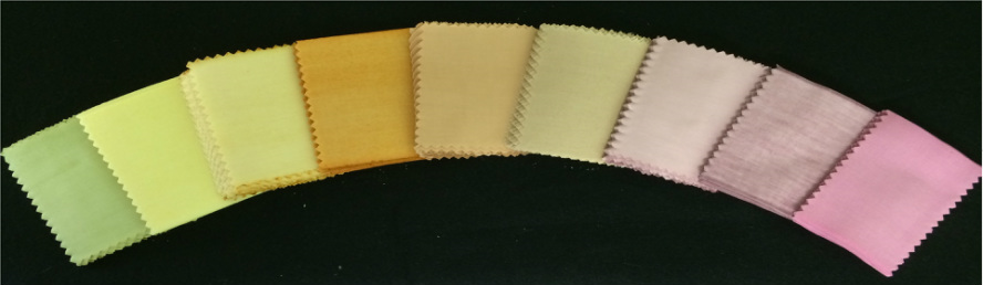 TESTFABRICS KOREA, INC